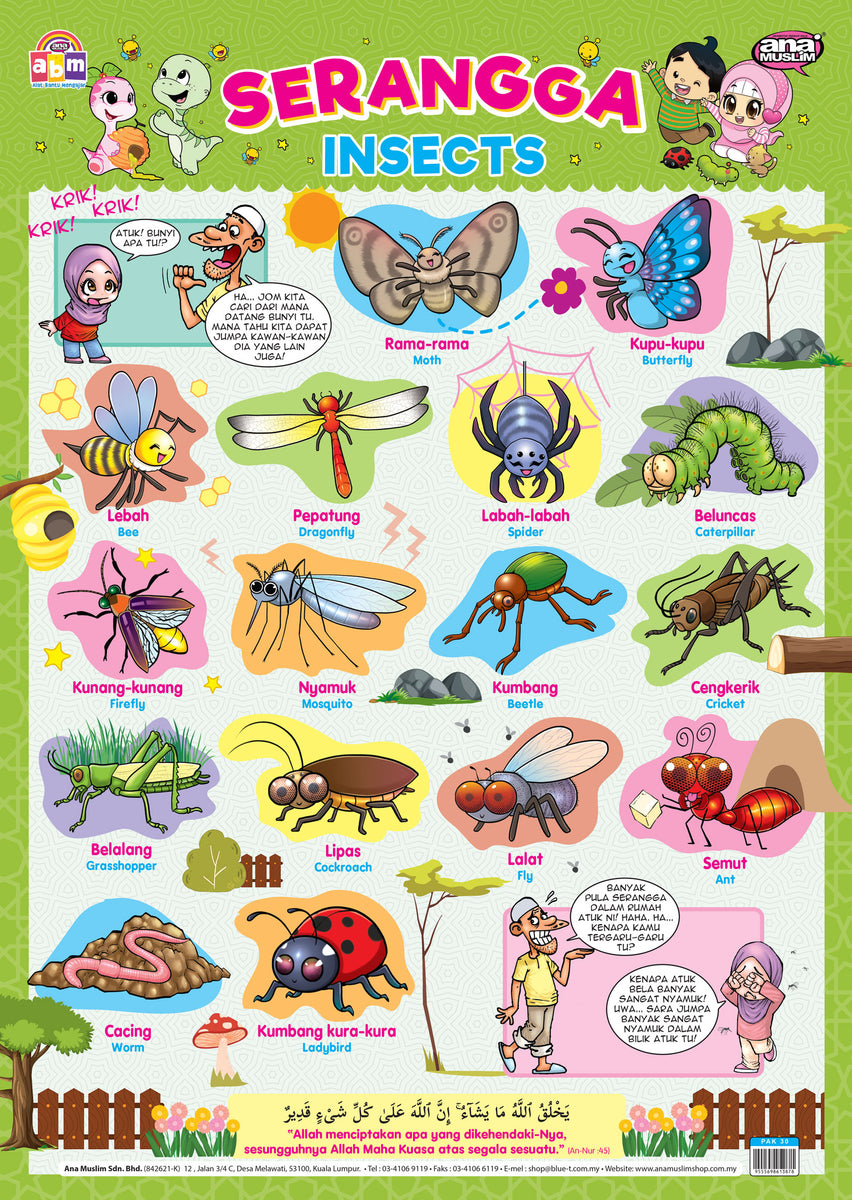 POSTER SERANGGA – AMNIAGA